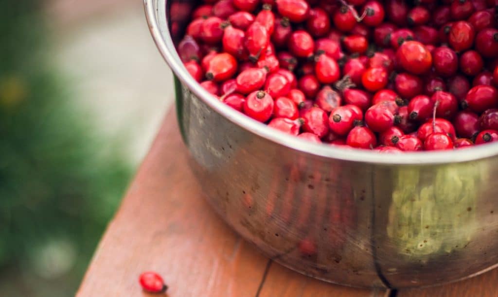 What to Do With Fresh Goji Berries