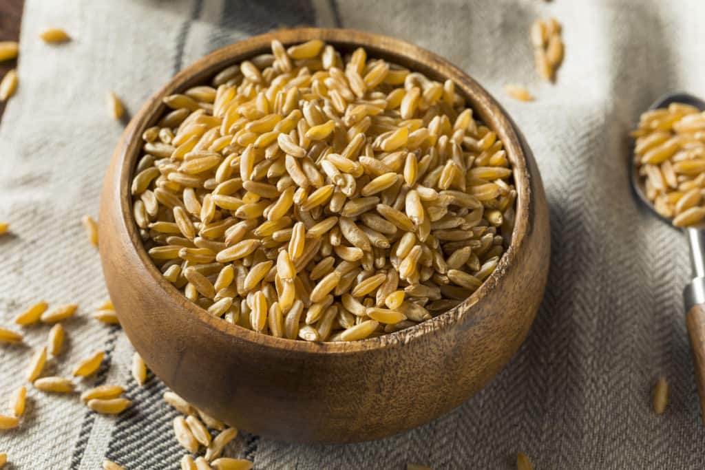 Kamut Vs Wheat – What’s The Difference?