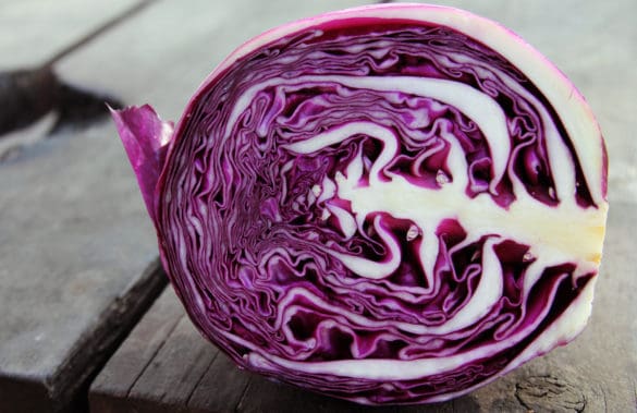 How To Freeze Cabbage – The Best Way