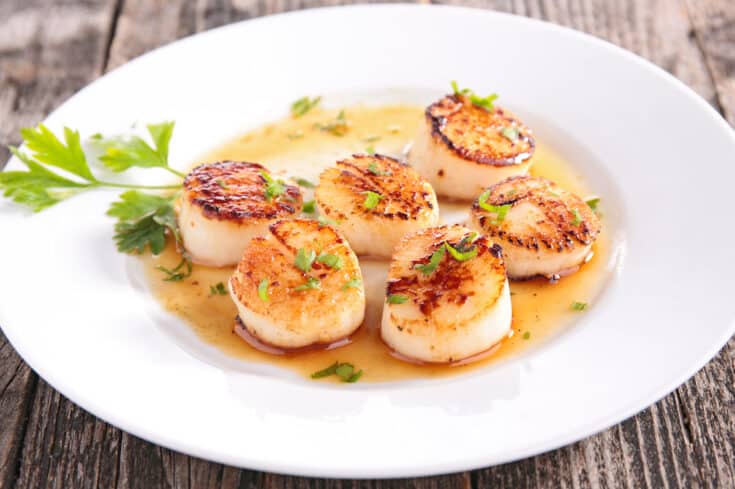 Can You Freeze Scallops? – Everything You Should Know