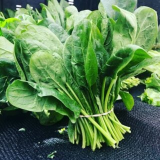 Leaves We Eat – The Guide To Edible Leaves