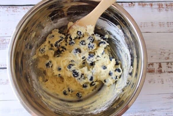 Blueberry Muffins Without Baking Powder - Foods Guy