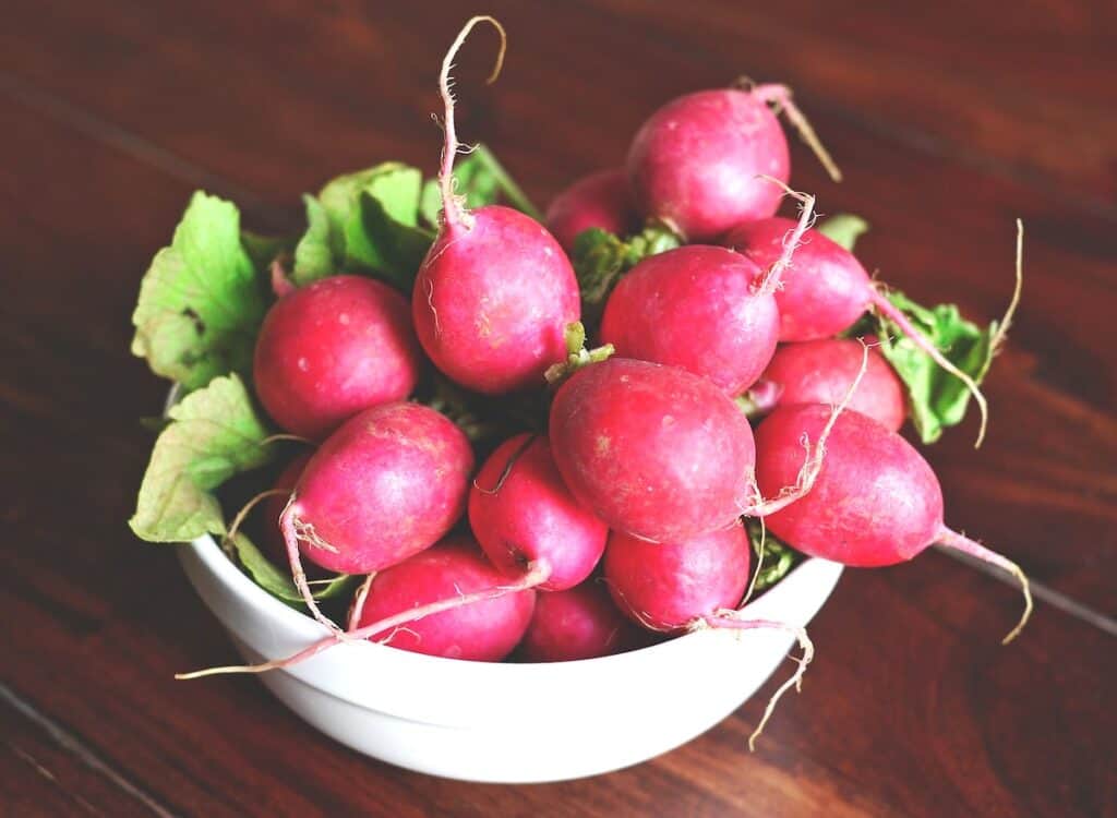 How To Store Radishes – The Complete Storage Guide