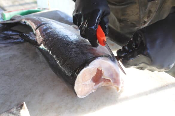 9 Best Electric Knives For Filleting Fish In 2024
