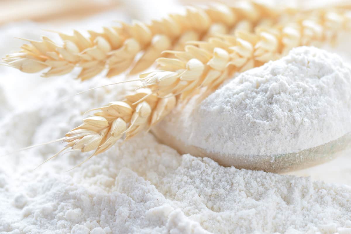 Is All Purpose Flour The Same As Plain Flour Foods Guy