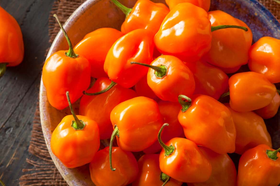How To Dry Habanero Peppers