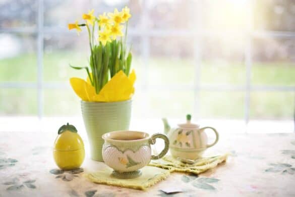 11 Best Decaf Teas Of 2026