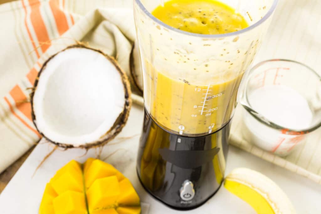 11 Best Battery-Powered Blenders Of 2024