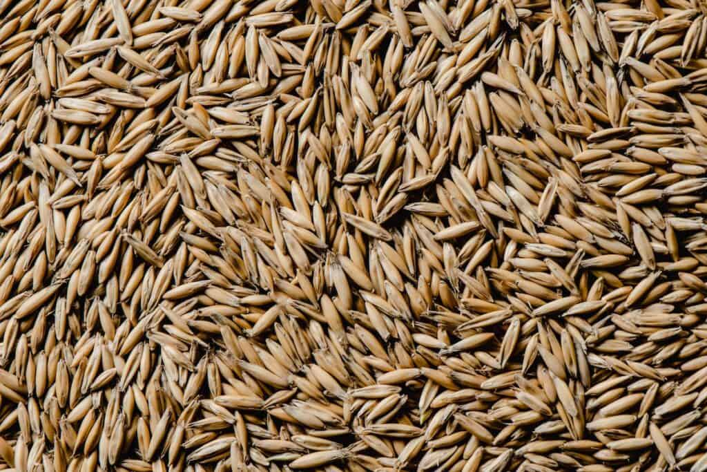 Oat Groats – The Complete Guide (& The Best To Buy)