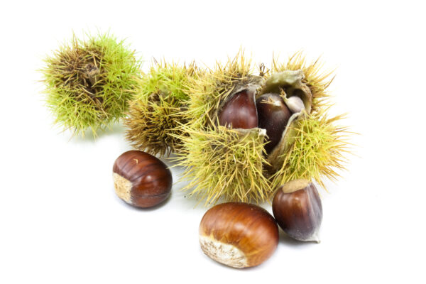 Chestnuts Vs Hazelnuts