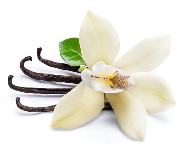 Vanilla, Vanilla Bean, French Vanilla: What’s the Difference?