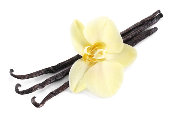 Vanilla Vs Chocolate – Dessert Showdown
