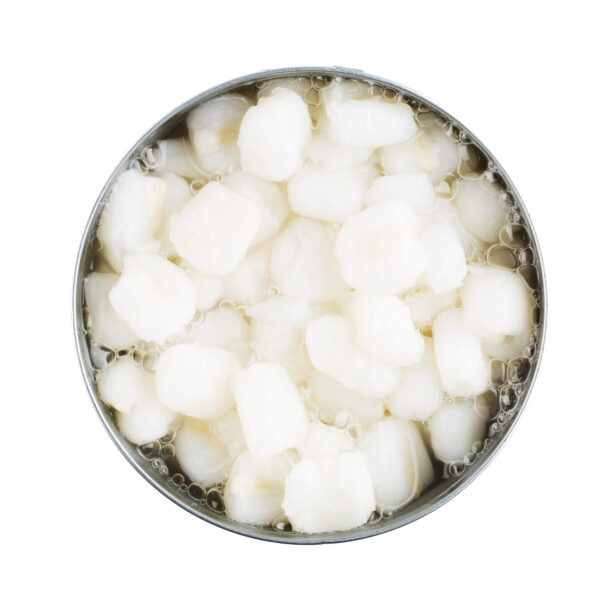 7 Best Substitutes For Grits
