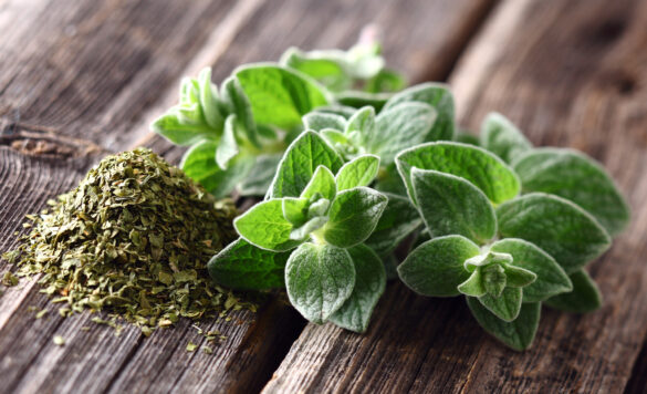 Basil Vs Oregano — What’s The Difference?