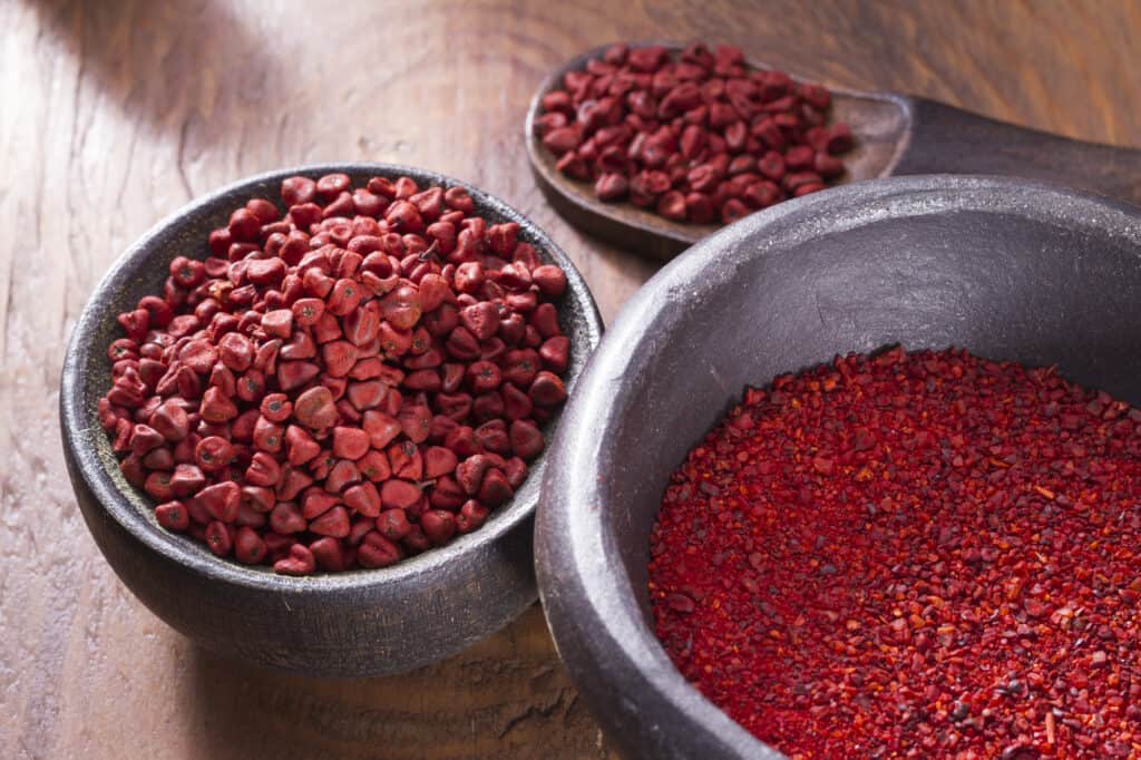 7 Best Substitutes For Achiote Paste - Foods Guy