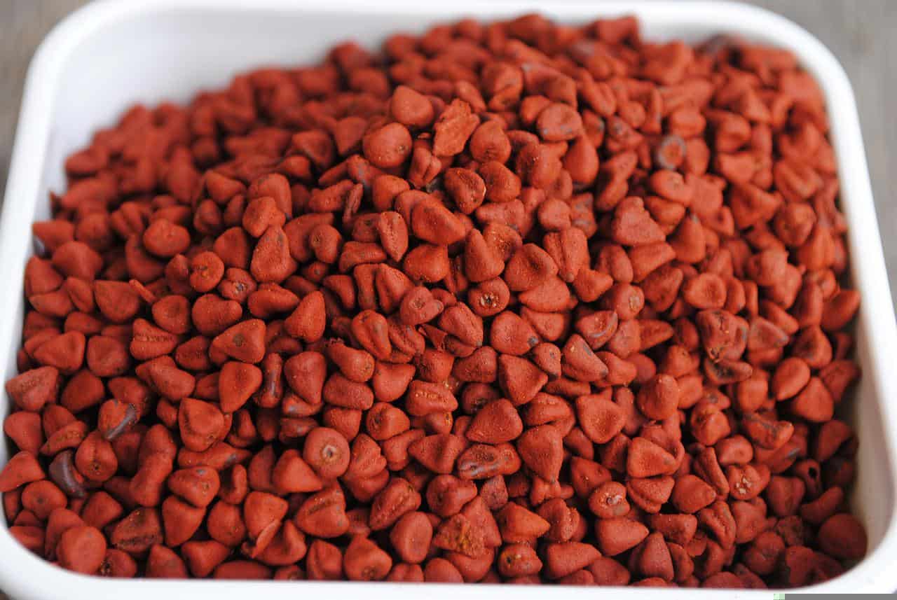 7 Best Substitutes For Achiote Paste