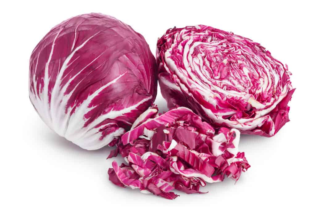 9 Best Lettuces For Sandwiches
