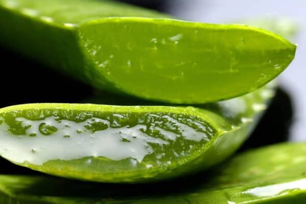What Is Aloe Jelly Boba? (And How To Make It)