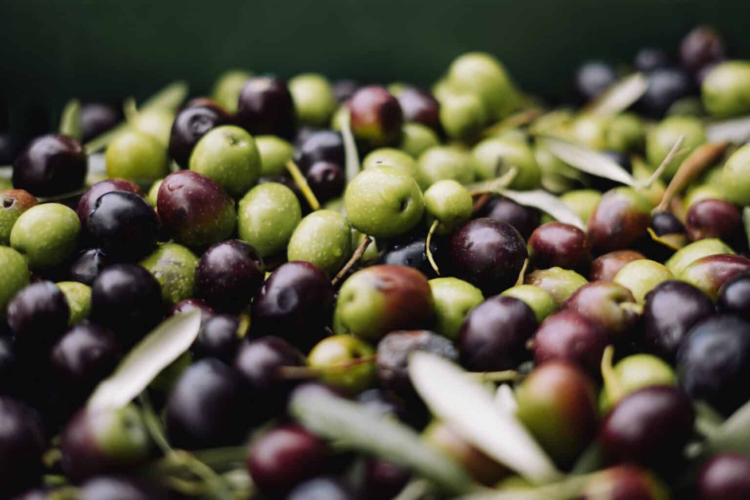Do Olives Need To Be Refrigerated? – Essential Guide