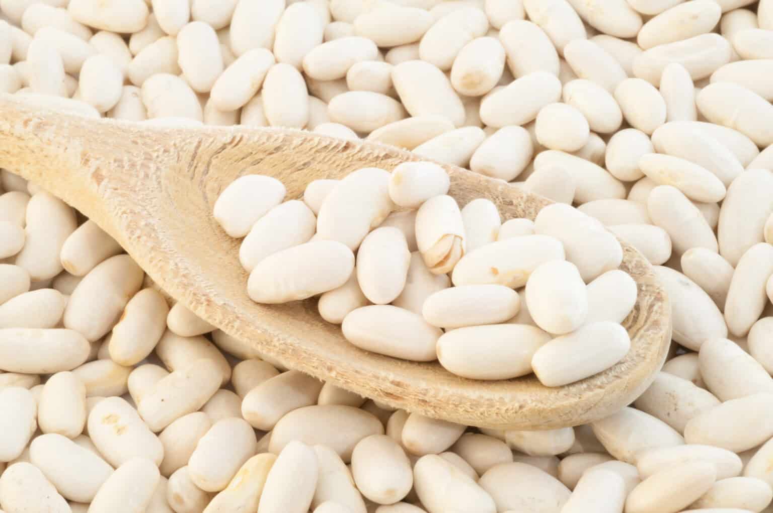 13 Best Beans for Vegetable Soup