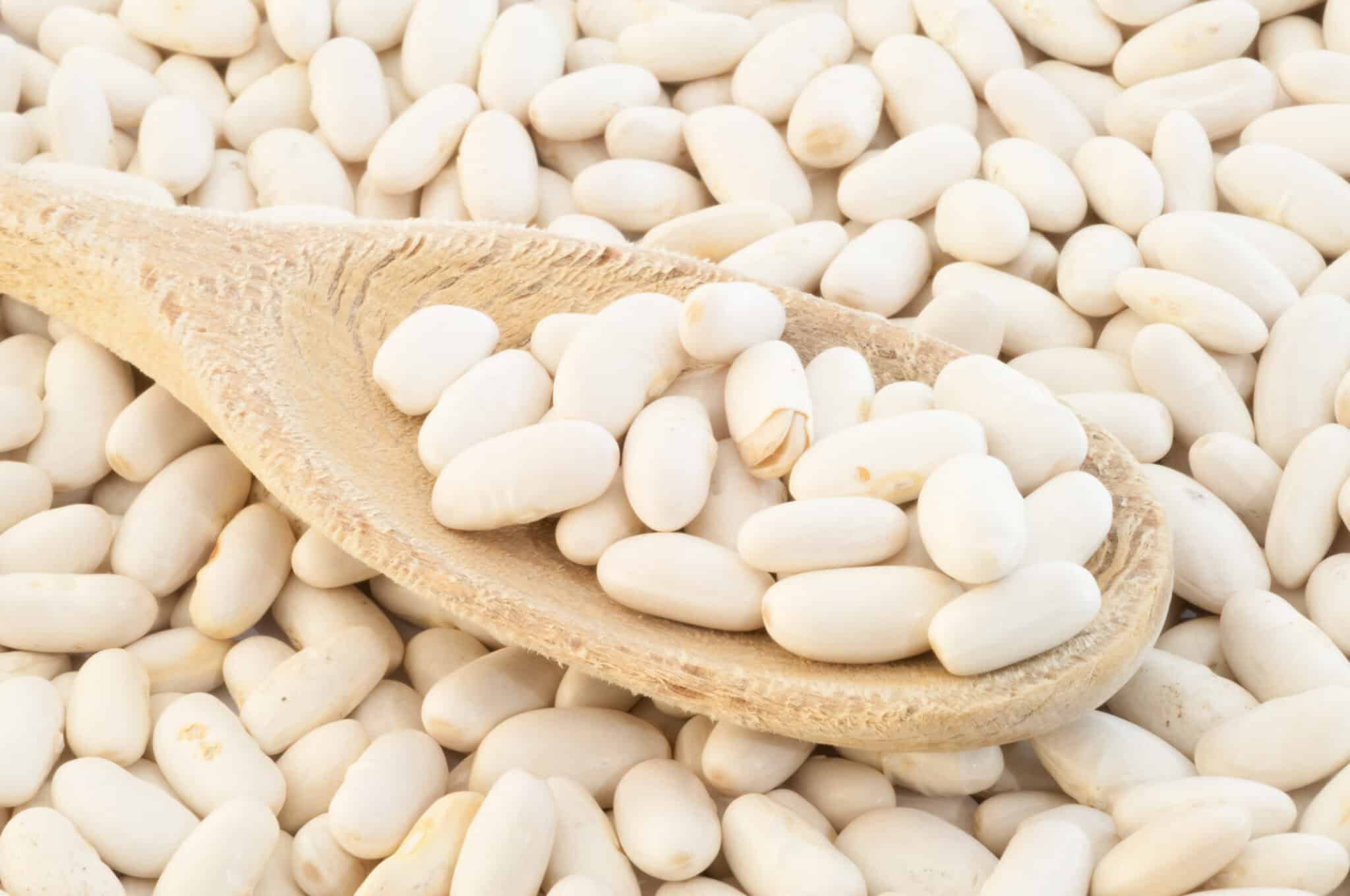 13 Best Beans for Vegetable Soup