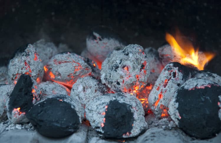 Getting Charcoal Flavor on an Electric Grill – How to Guide 2025