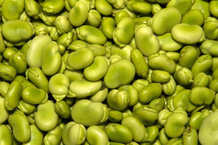 13 Best Beans for Vegetable Soup