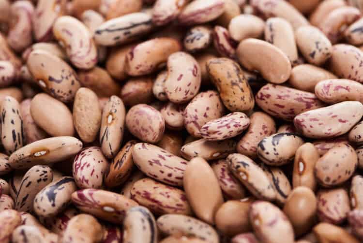 13 Best Beans for Vegetable Soup