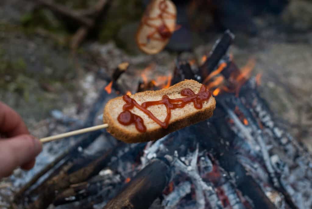 11 Best Toasters for Camping – With Buyer’s Guide