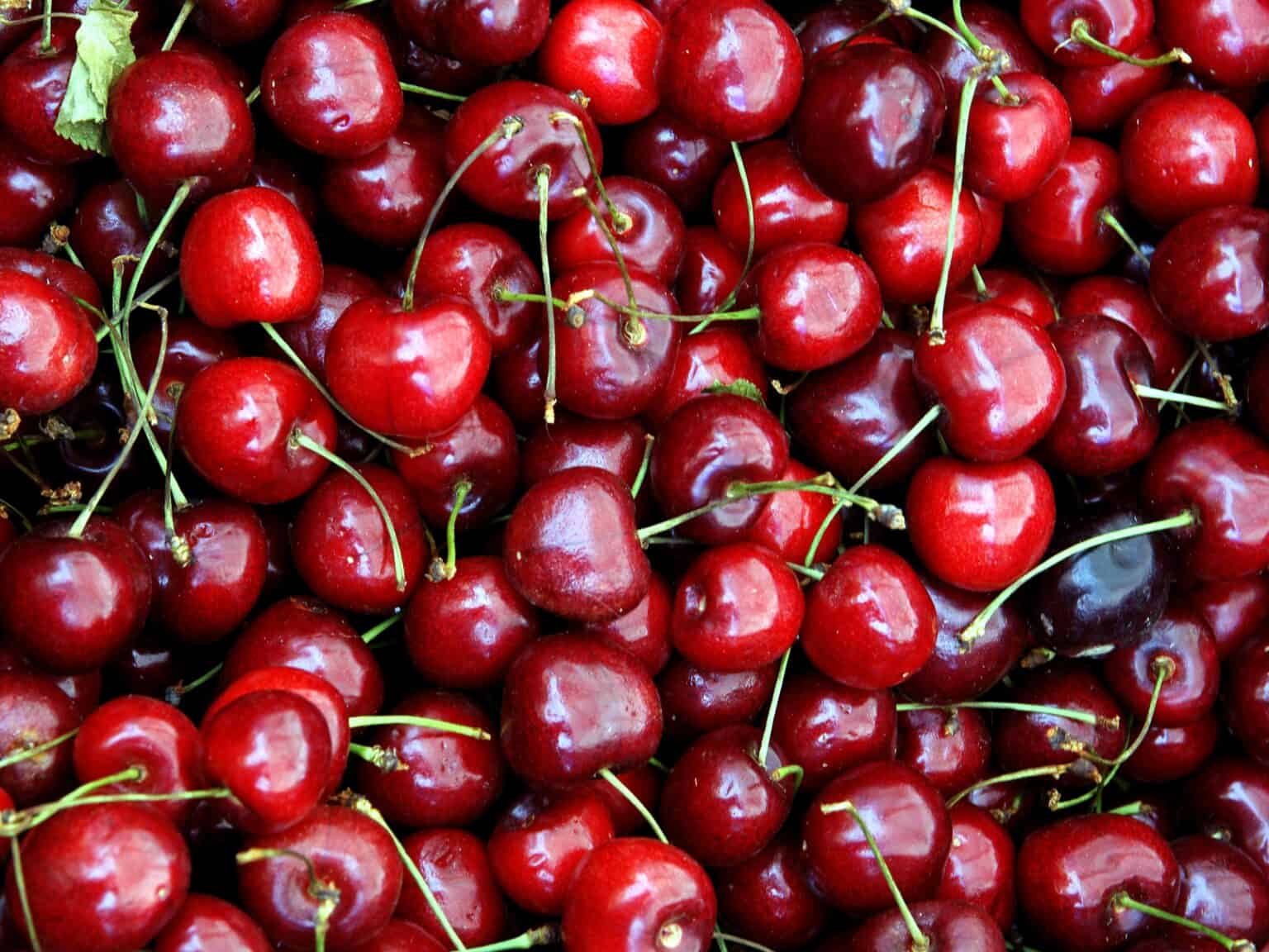 Are There Seedless Cherries? – Everything You Want to Know