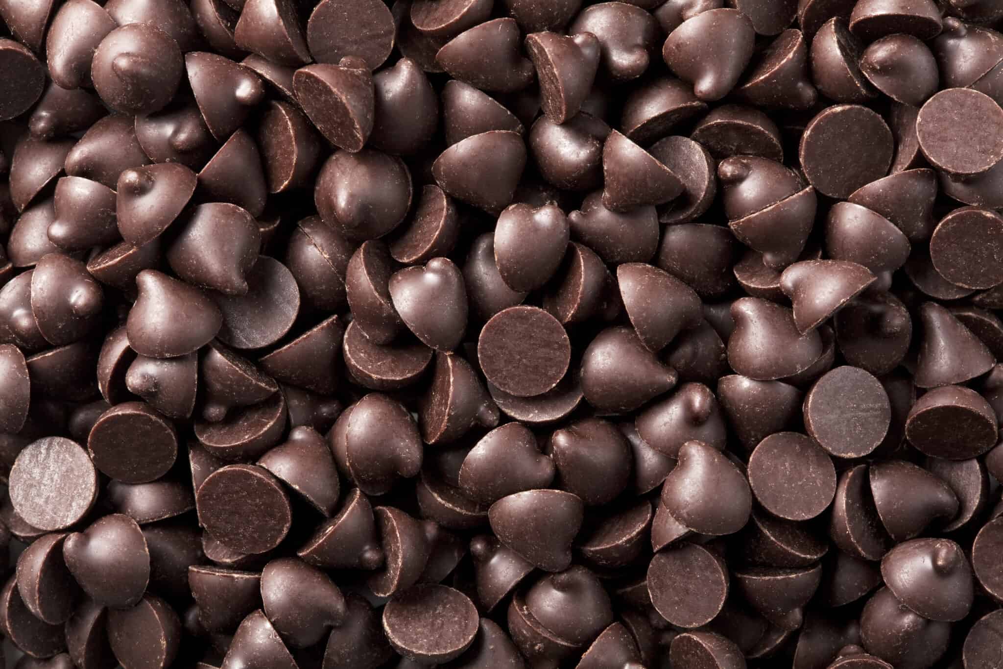 How Much Is One Ounce of Chocolate? What Does It Look Like?