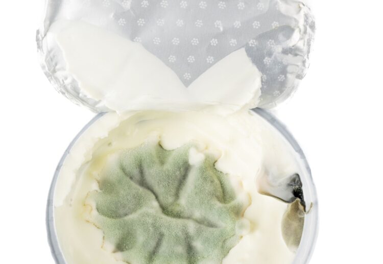 What Is the US Equivalent of Single and Double - Foods Guy