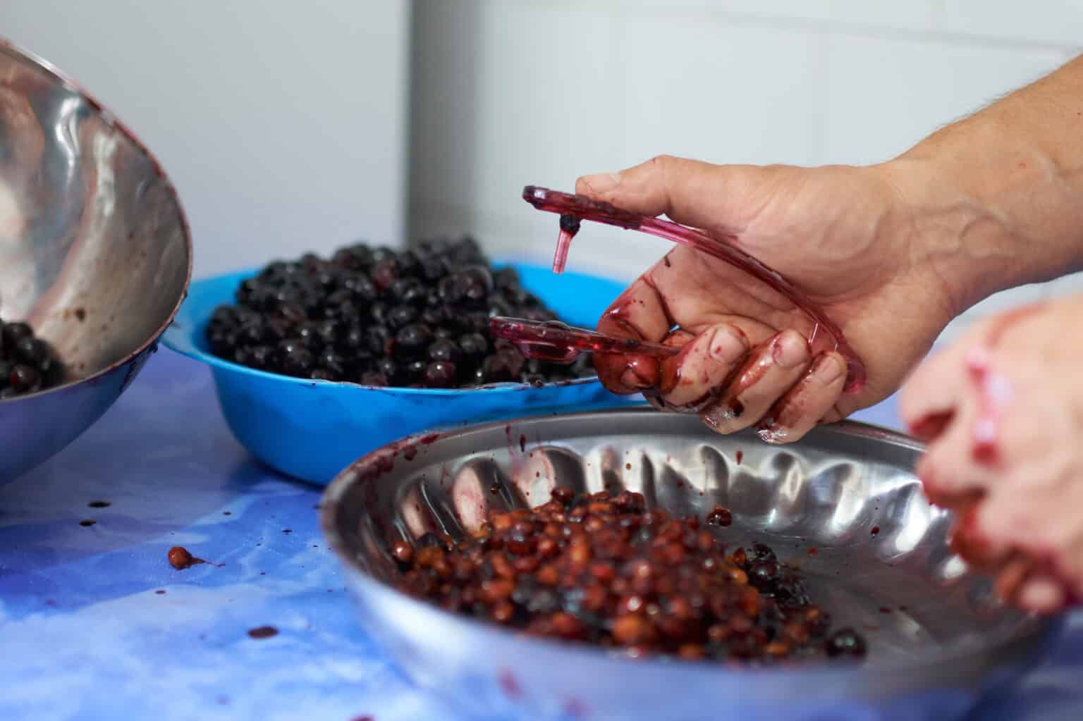 Are There Seedless Cherries? – Everything You Want to Know - Foods Guy