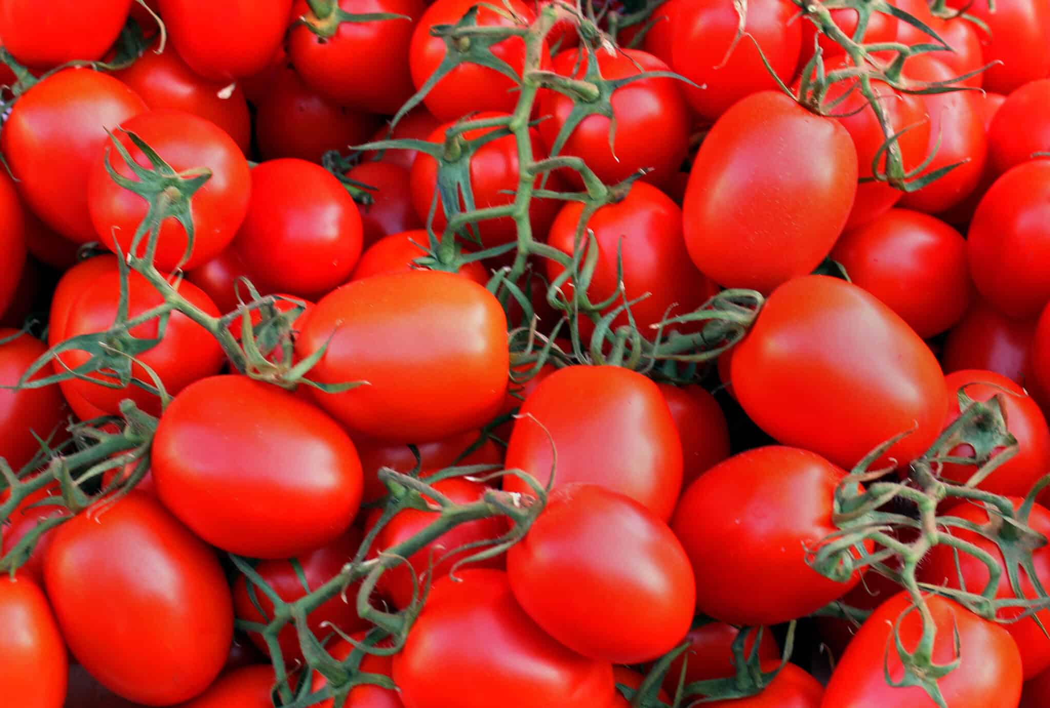 Best Tomatoes for Tomato Soup – Complete Guide - Foods Guy