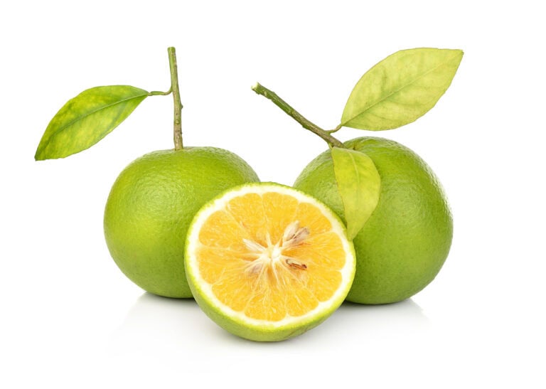 Can You Eat Green or Unripe Oranges?