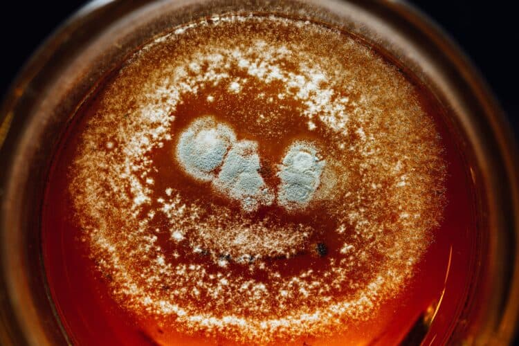 How Long Is Sweet Tea Good For? Does It Go Bad? - Foods Guy