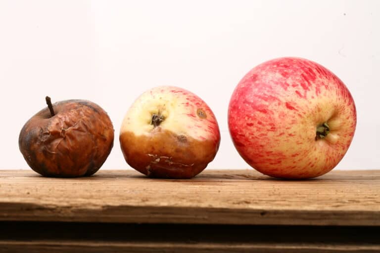 Apples Are Red Inside (What’s the Cause & Are They Safe to Eat?)