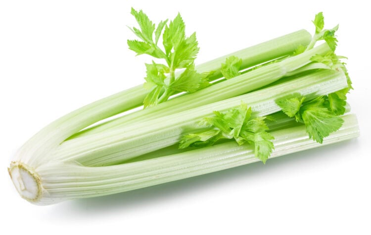 Vegetable Stems We Eat – The Guide to Edible Stems