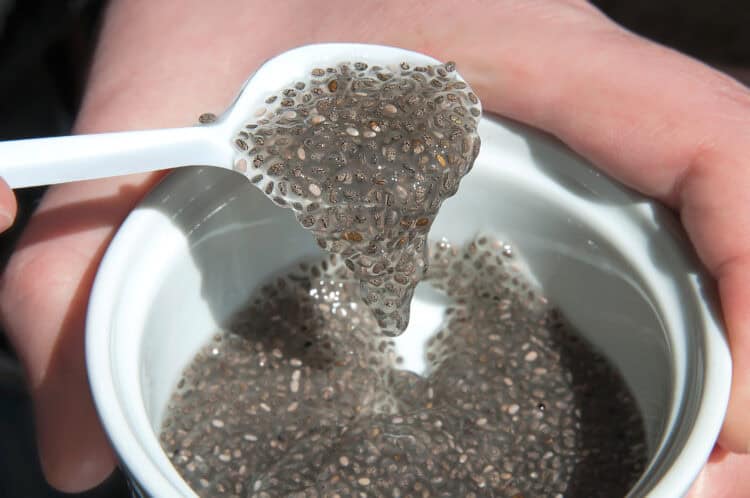 How to Soak Chia Seeds – The Ultimate Guide