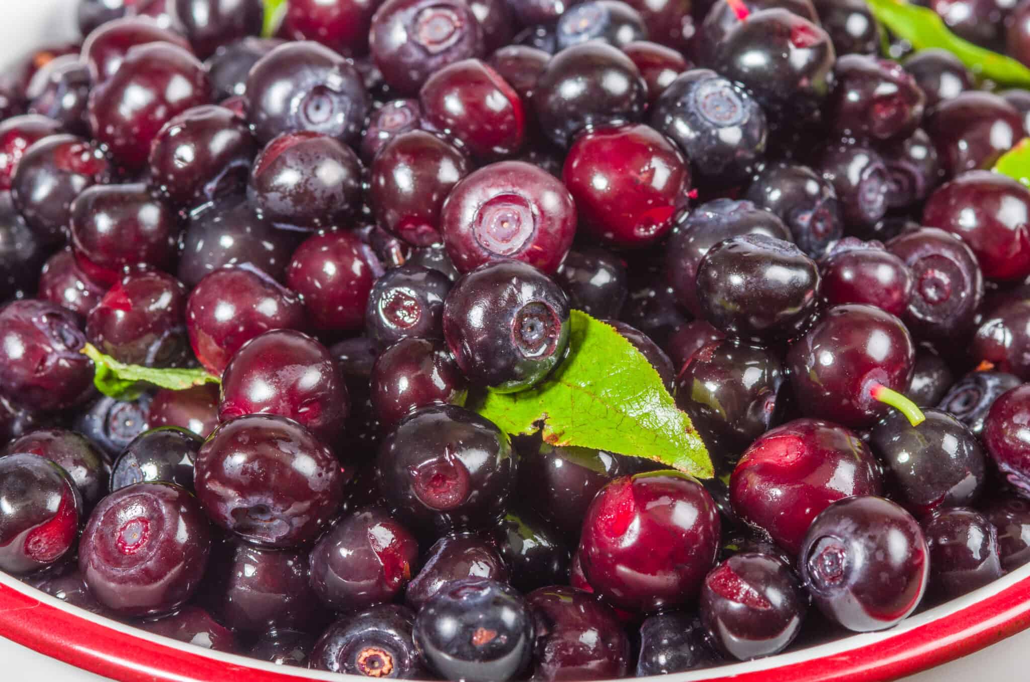 9 Berries That Look Like Blackberries