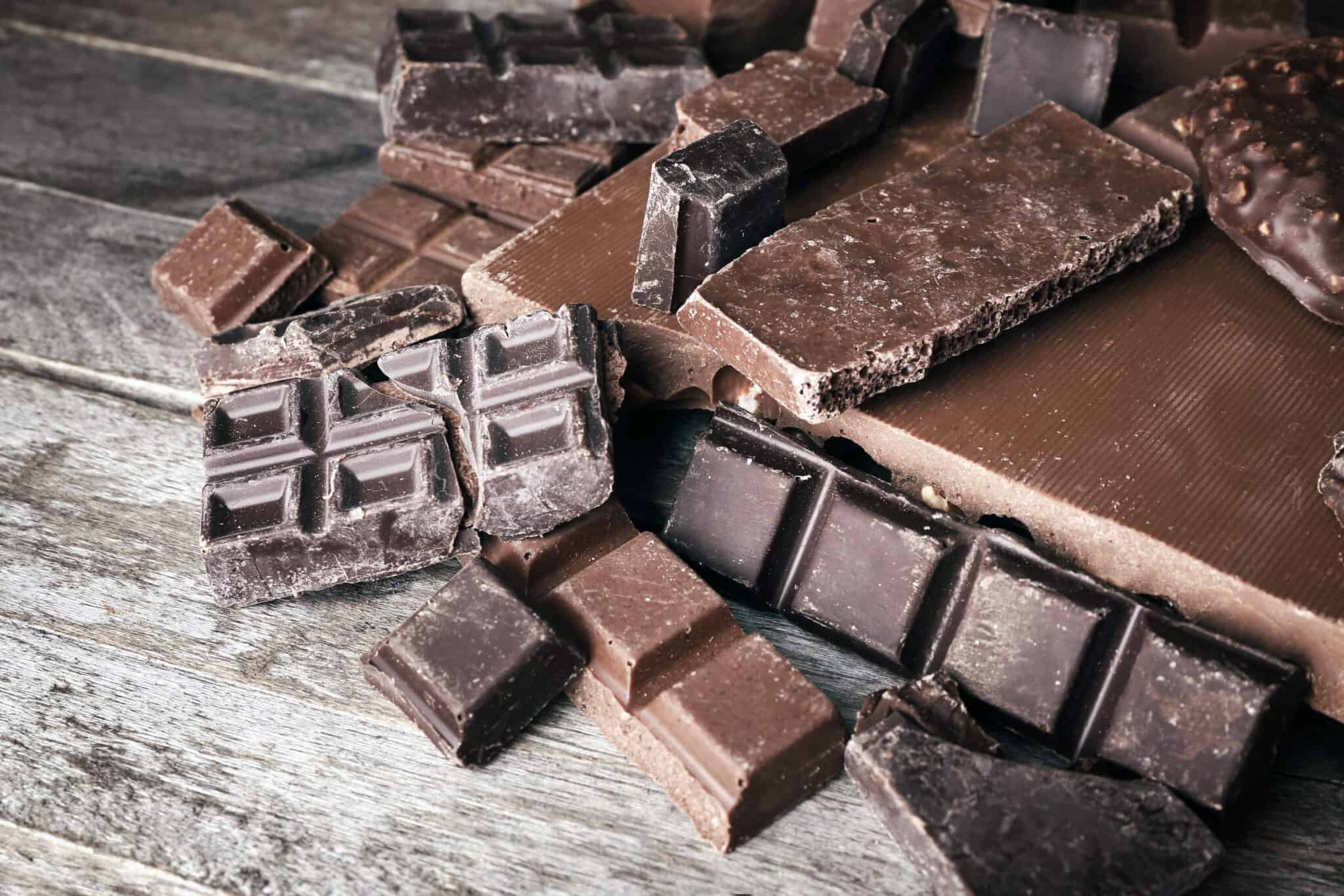 Mold on Chocolate – To Eat or Not to Eat?
