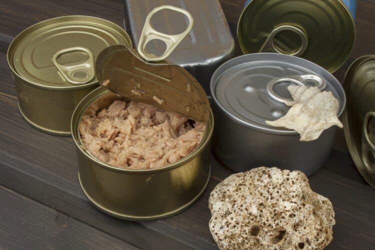 9 Ways to Tell if Your Canned Tuna Is Bad