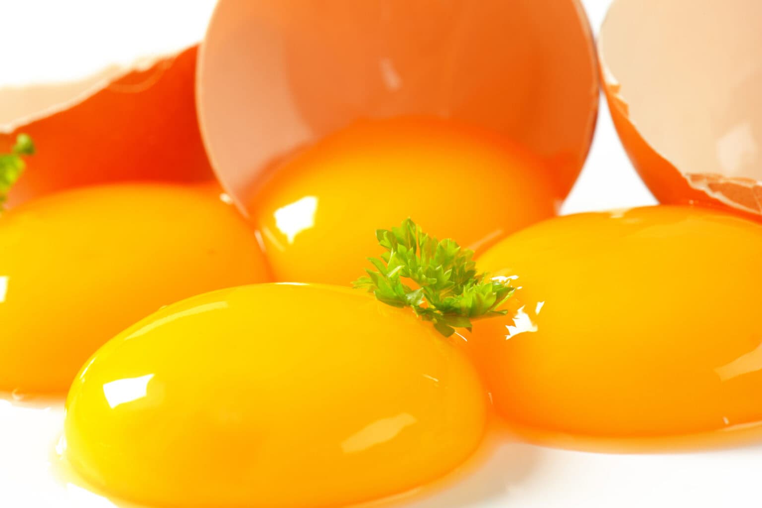 The Best Emulsifiers for Salad Dressing