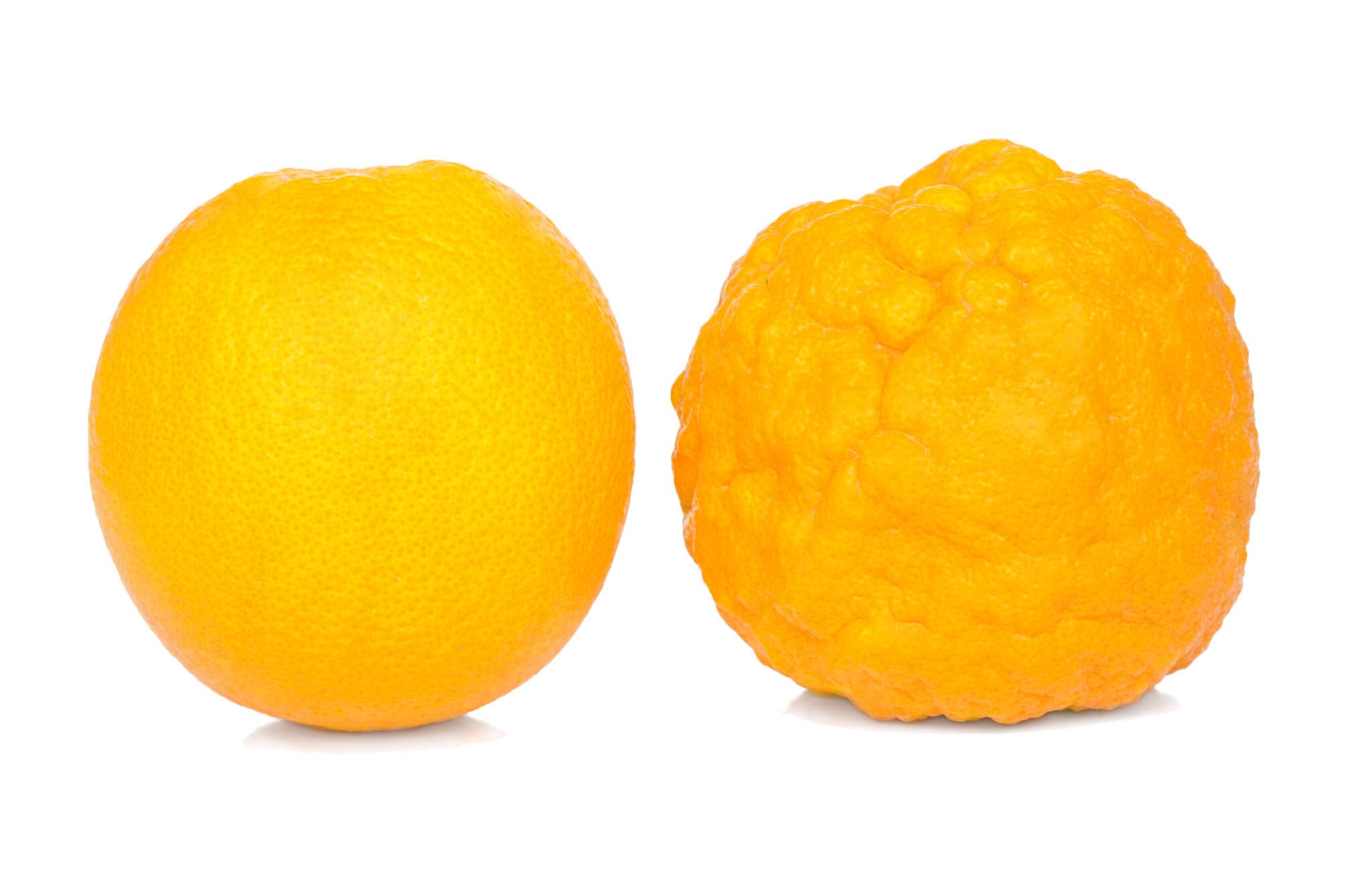 How to Tell if an Orange Is Bad?